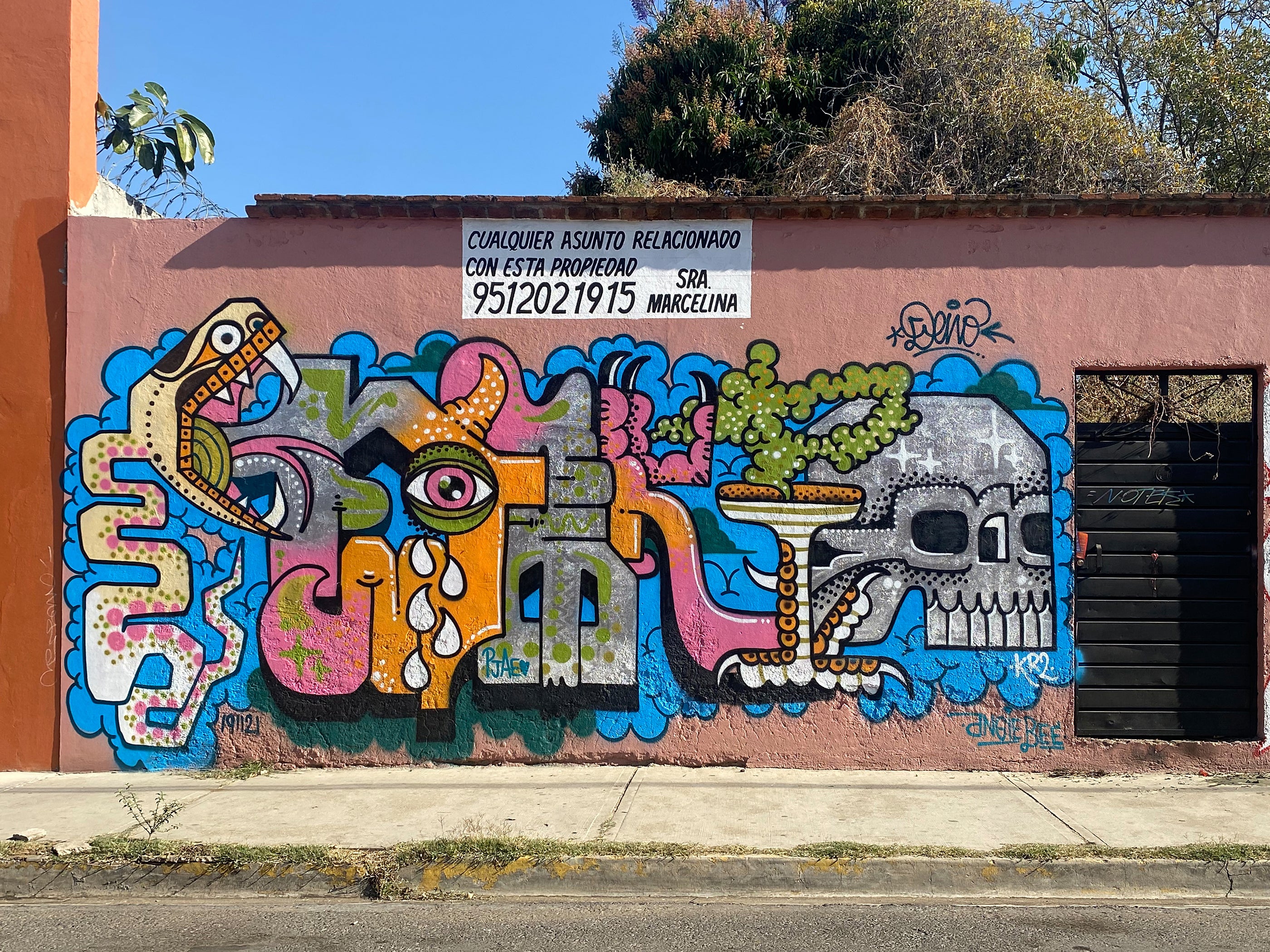 Deno: "Todos Tenemos una Calavera" Solo Exhibition – ANNO DOMINI Gallery